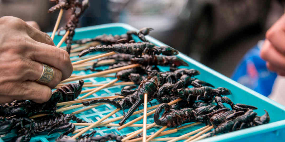 La France se pose en leader mondial pour nourrir avec des insectes