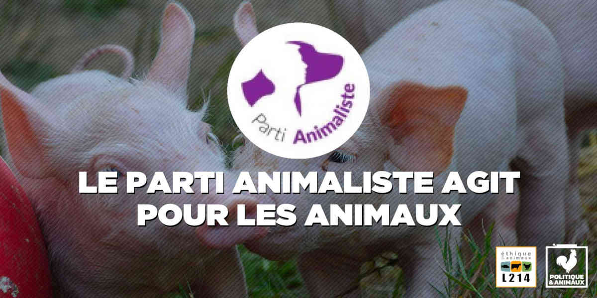 Le Parti animaliste : “À chaque fois, les animaux passent à la trappe”